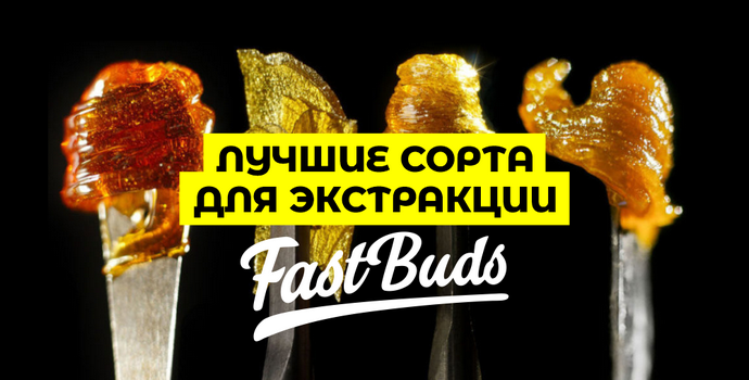 Самые ароматные экстракты с FastBuds Originals - Fast Buds - Форум ...