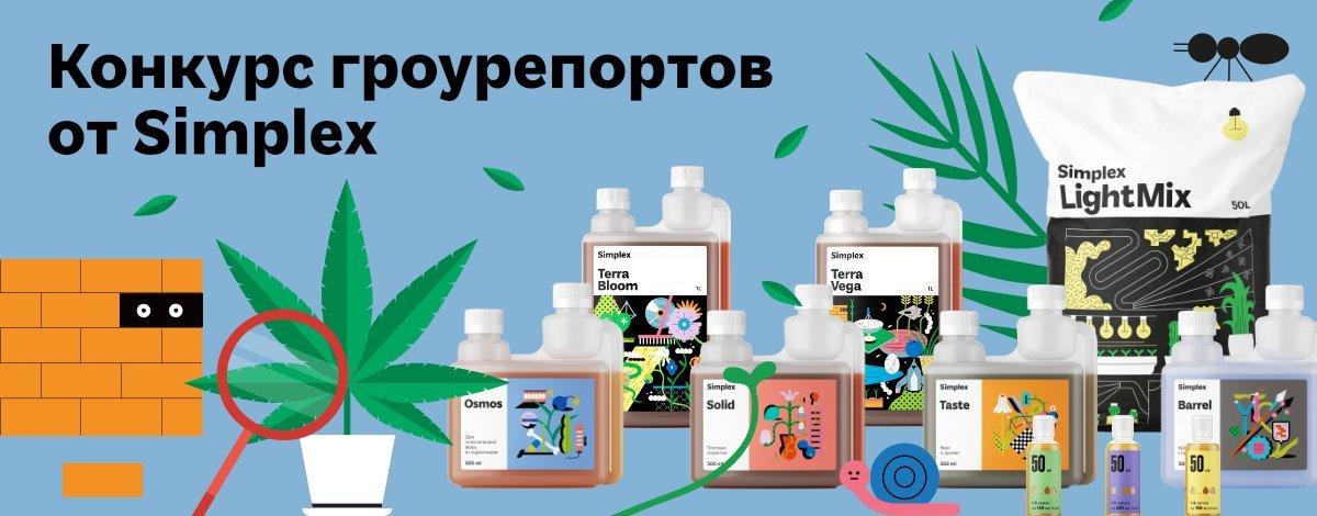 КОНКУРС ГРОУРЕПОРТОВ НА СУБСТРАТЕ SIMPLEX LIGHTMIX - SIMPLEX - Форум dzagi.club